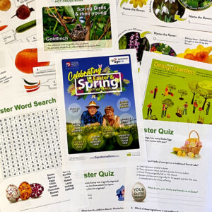 Spring Printed Activity Pack - Creative Mojo